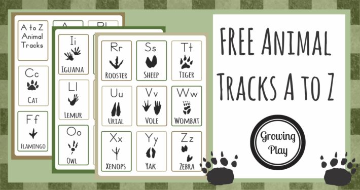 Animal Track Flashcards A to Z FREE from Growing Play 2 - Growing Play