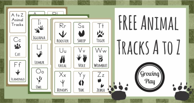 Animal Track Printables from A to Z - Growing Play
