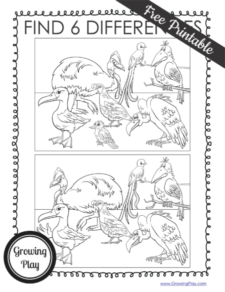 Birds Facts for Kids - Growing Play