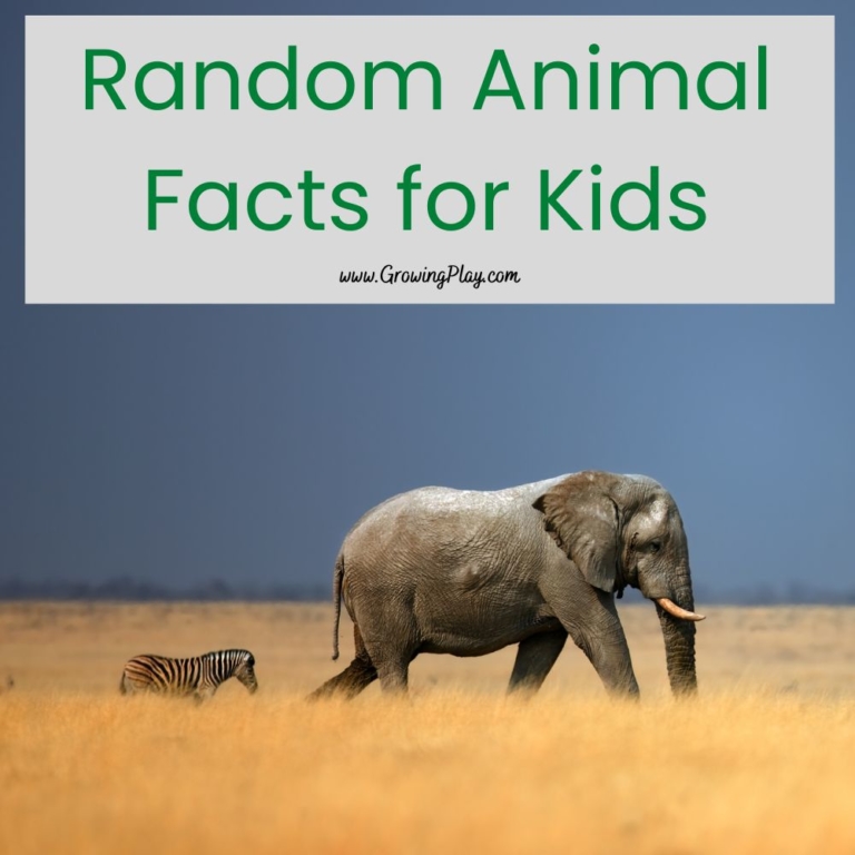 Random Animal Facts - Growing Play