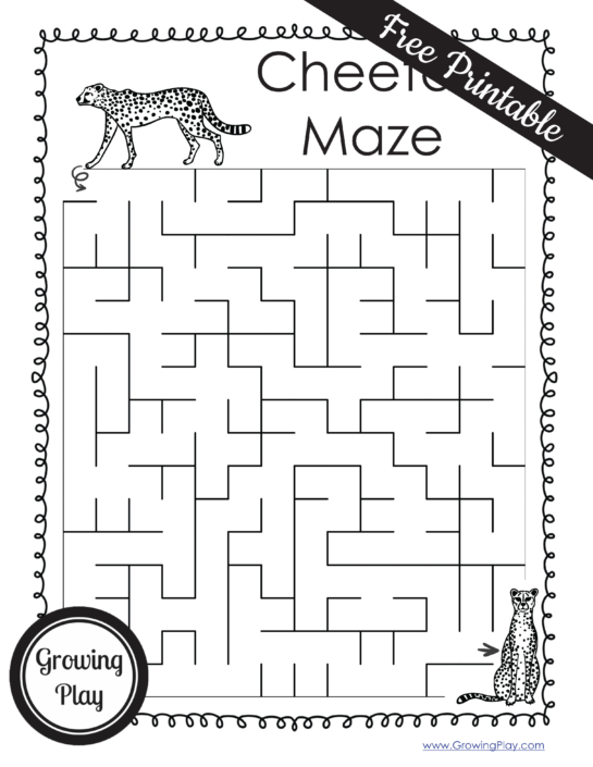 Cheetah Facts for Kids - Growing Play