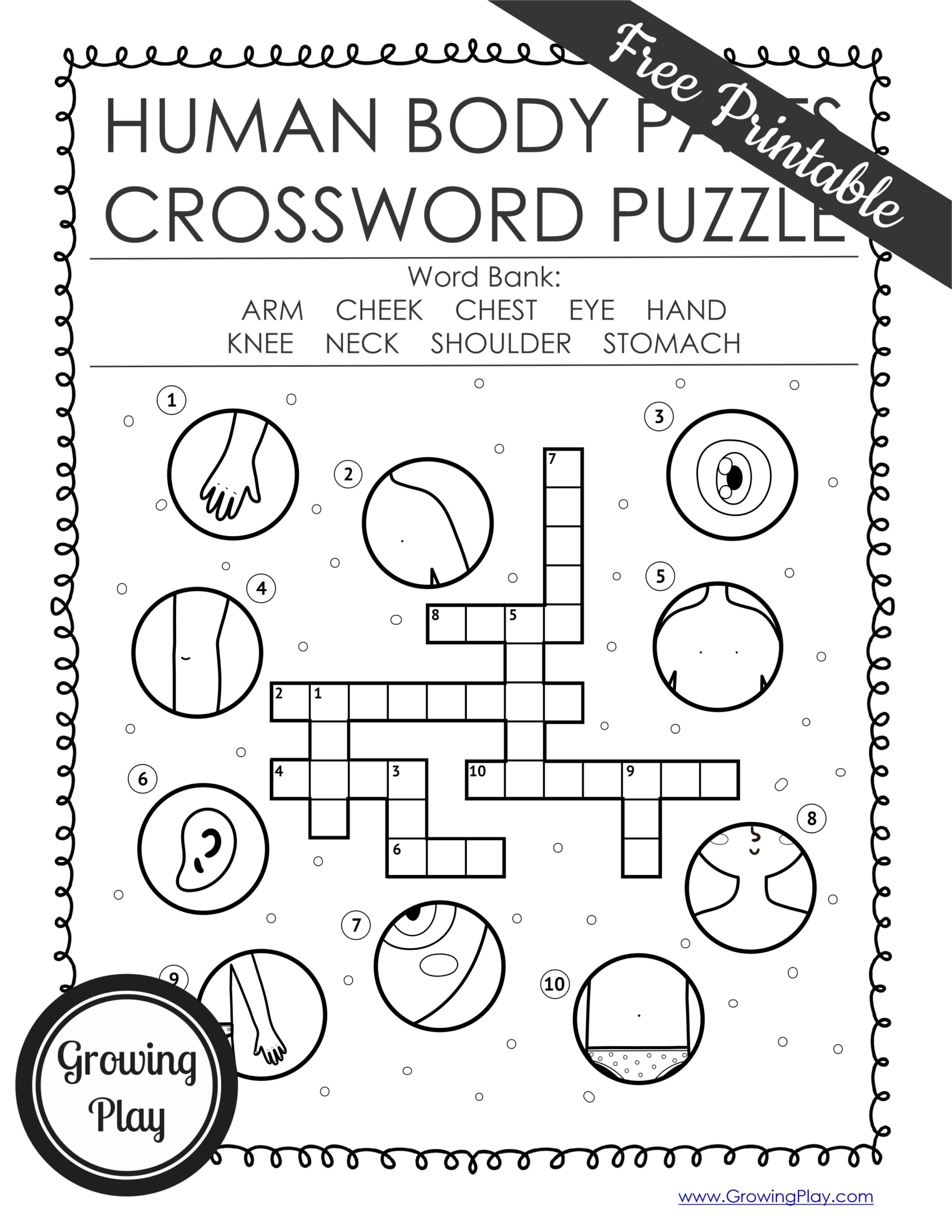 Human Body Facts for Kids - Growing Play