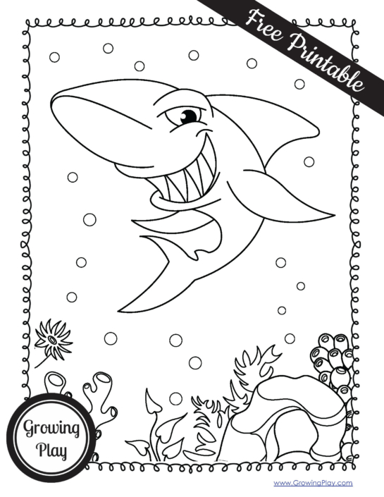 Shark Facts for Kids - Growing Play