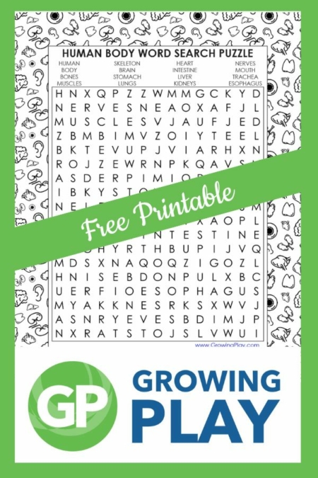Human Body Word Search Printable - FREE - Growing Play