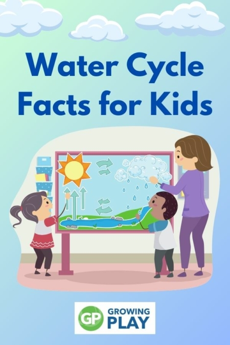 Water-Cycle-Facts-for-Kids - Growing Play