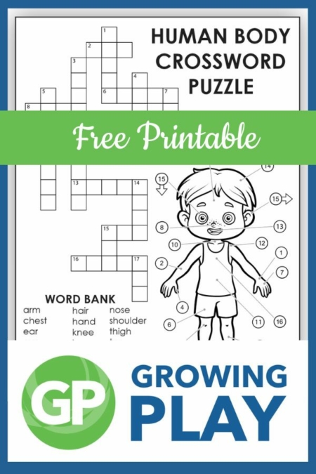 Body Crossword Puzzle Free PDF - Growing Play