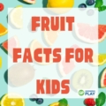 Fruit Facts for Kids - Growing Play