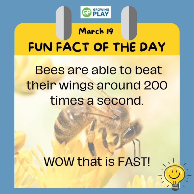 March 19 - Bee Facts for Kids - Growing Play