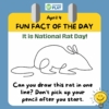 April 4 - Rat Facts for Kids - Growing Play