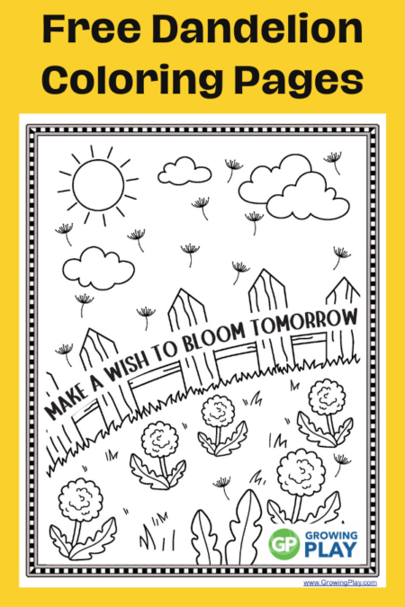 Dandelion Coloring Pages - Free Printables - Growing Play