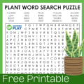 Word Search Puzzles Printable - Growing Play
