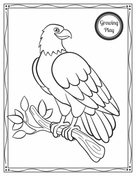 Eagle Coloring Pages Free Printable Set - Growing Play