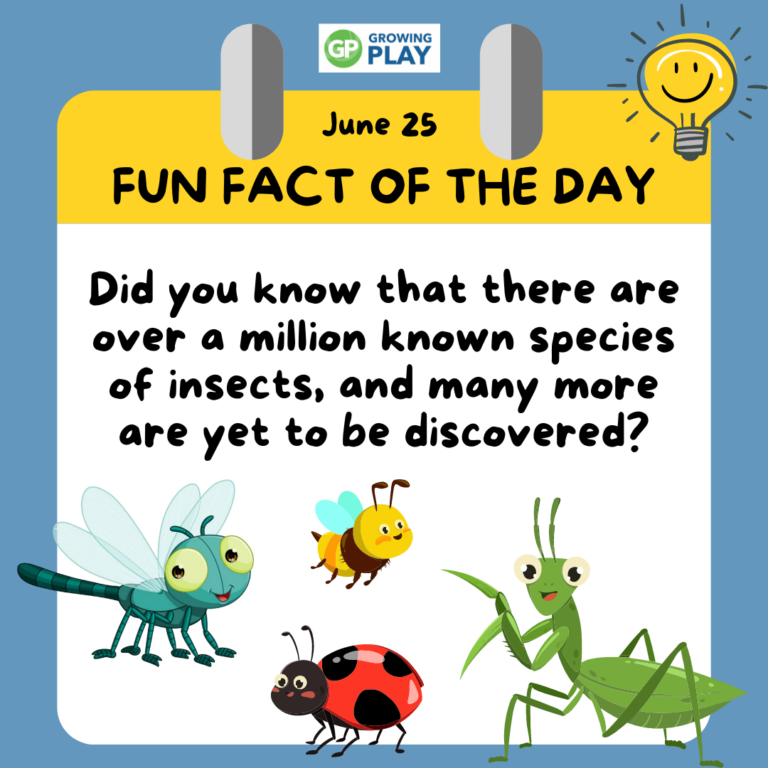 Insect Facts for Kids - Growing Play
