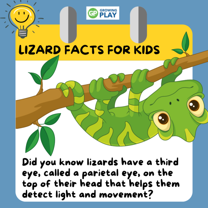 Lizard Facts for Kids - Growing Play